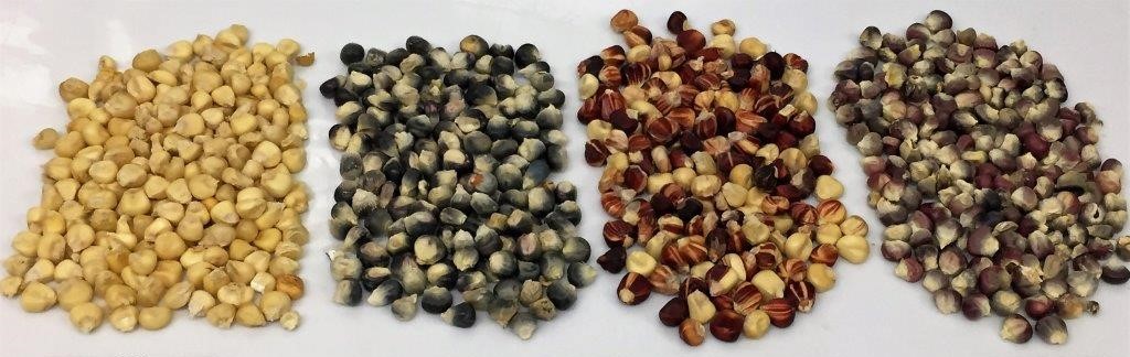 American Indian Foods | Ramona Farms